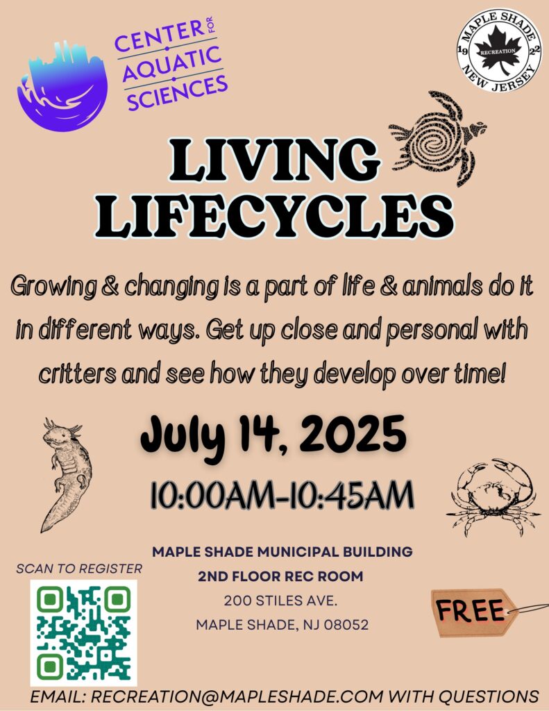 Living Lifecycles – Maple Shade Township